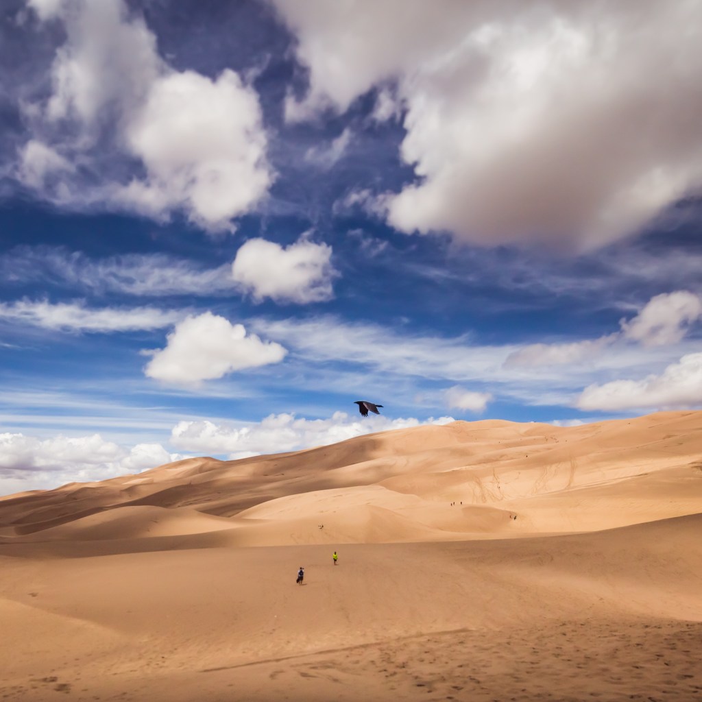 A Talk With Denver Photographer Sara Yoder About Community ...