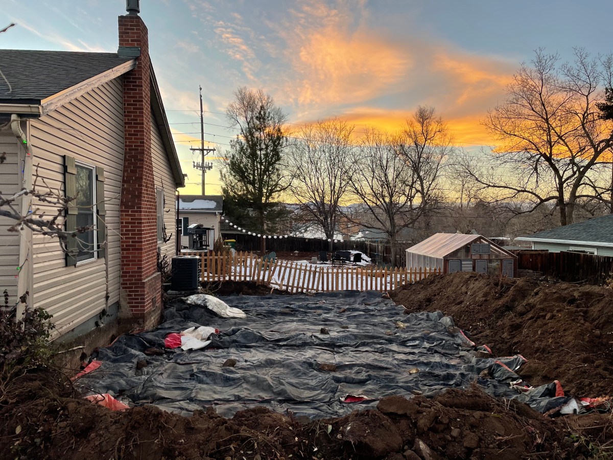 Bon Hiver! – The Colorado Nest